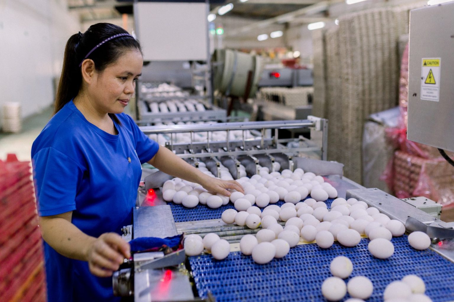 Services – Venvi Group of Companies